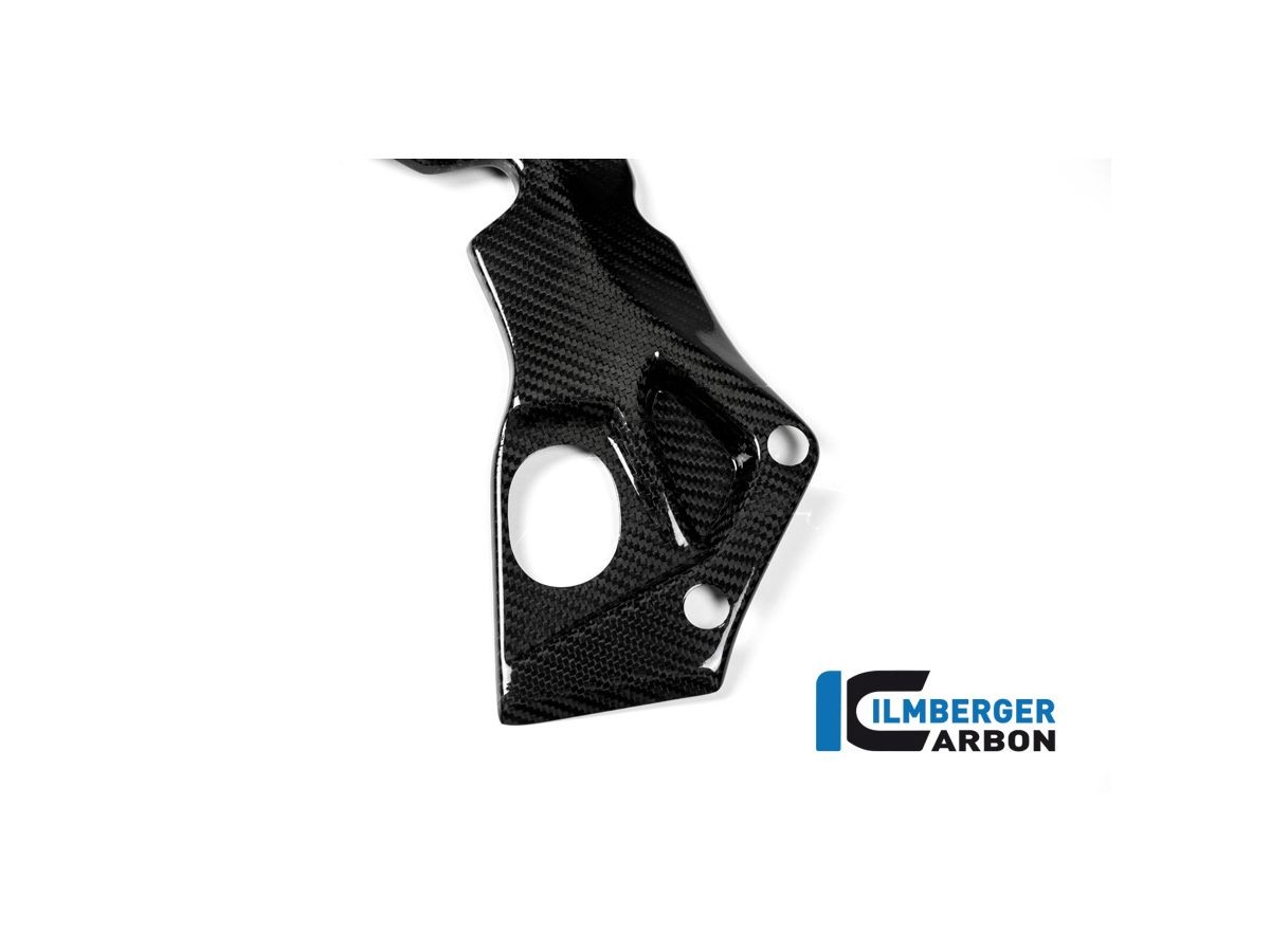 ILMBERGER 碳纖維 左側車架護蓋 [RAL.311.S115S.K]